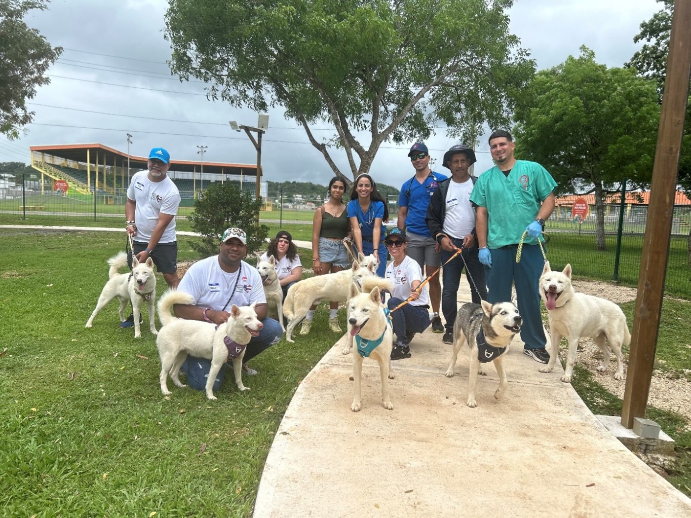 Boehringer Ingelheim Cares Foundation | Boehringer Ingelheim US